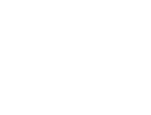 Mint Creatives, Design Company - Illustration, Graphic, Website