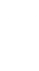 Mint Creatives, Design Company - Illustration, Graphic, Website